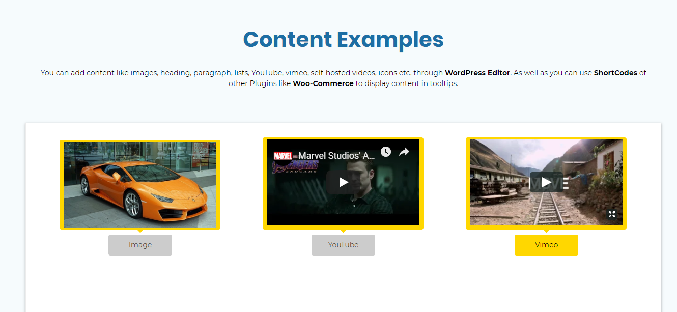 Bootstrap Tooltip - Responsive WordPress Plugin by szthemes | CodeCanyon